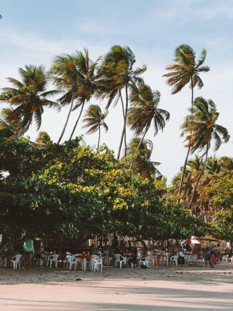 O que fazer em Boipeba: 15 passeios imperdíveis no seu roteiro