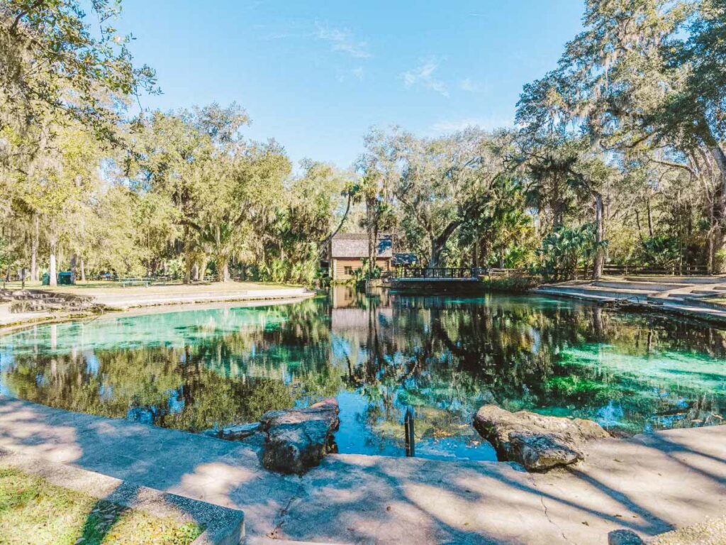 O que fazer em Ocala, na Flórida: springs, tirolesa e mais aventura