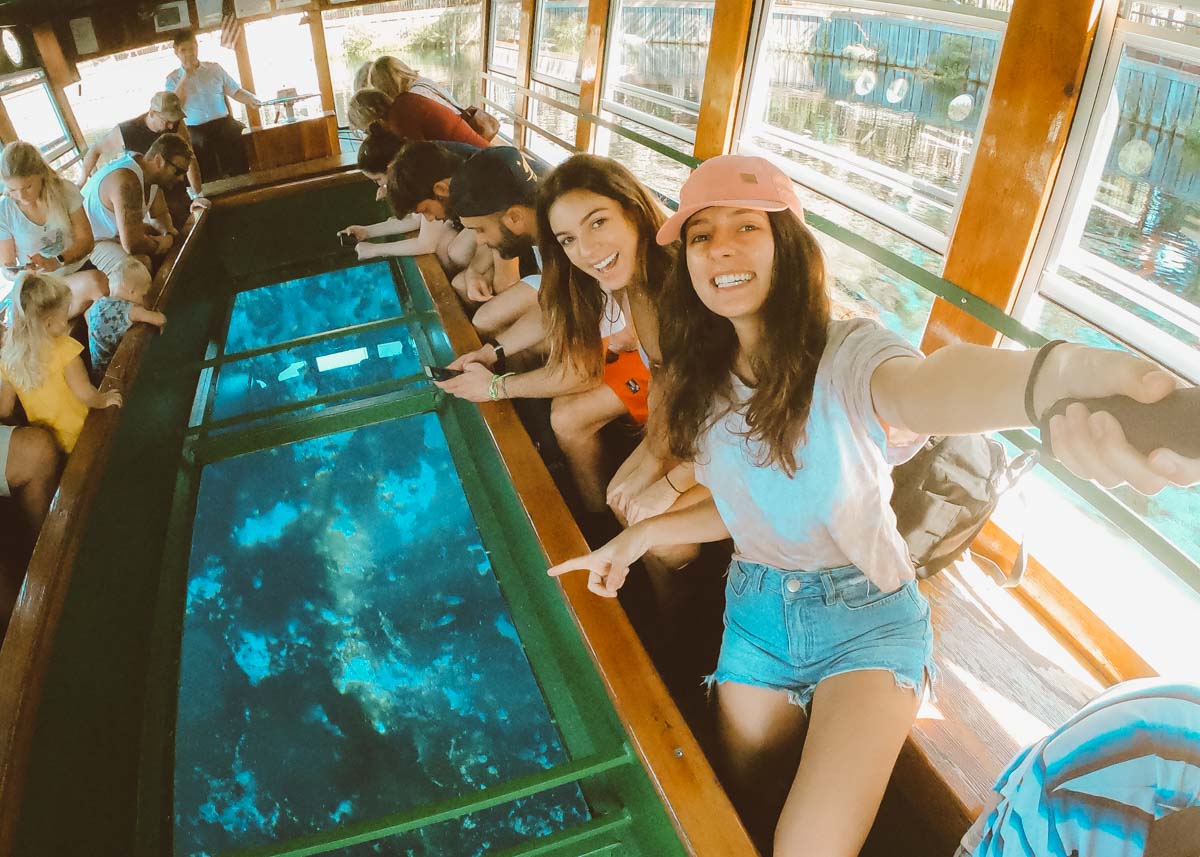 O que fazer em Ocala, na Flórida: springs, tirolesa e mais aventura