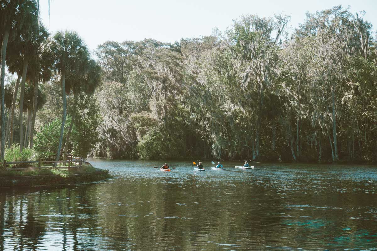 O que fazer em Ocala, na Flórida: springs, tirolesa e mais aventura