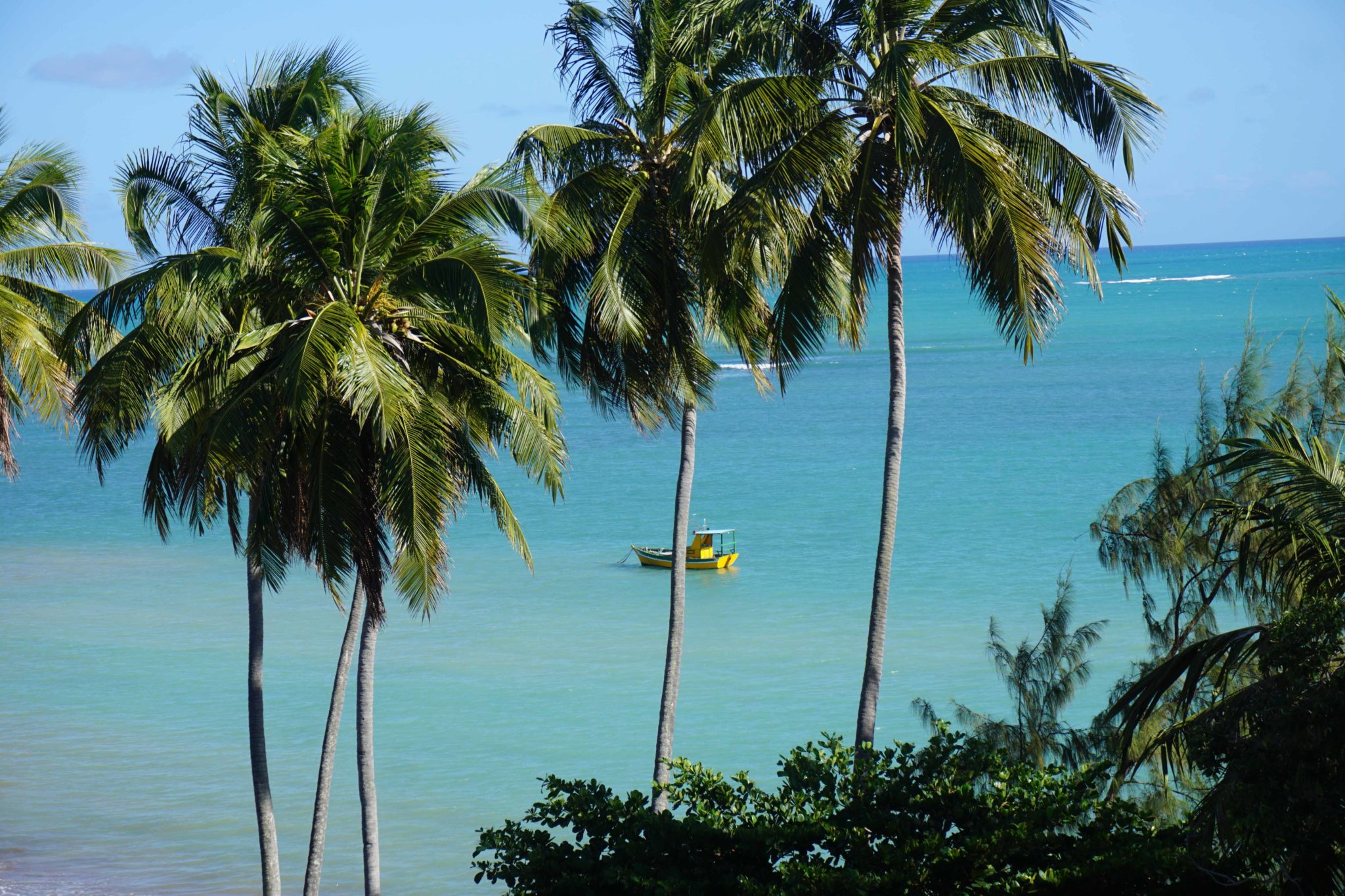 O que fazer em Japaratinga: passeios, onde ficar, melhores praias e