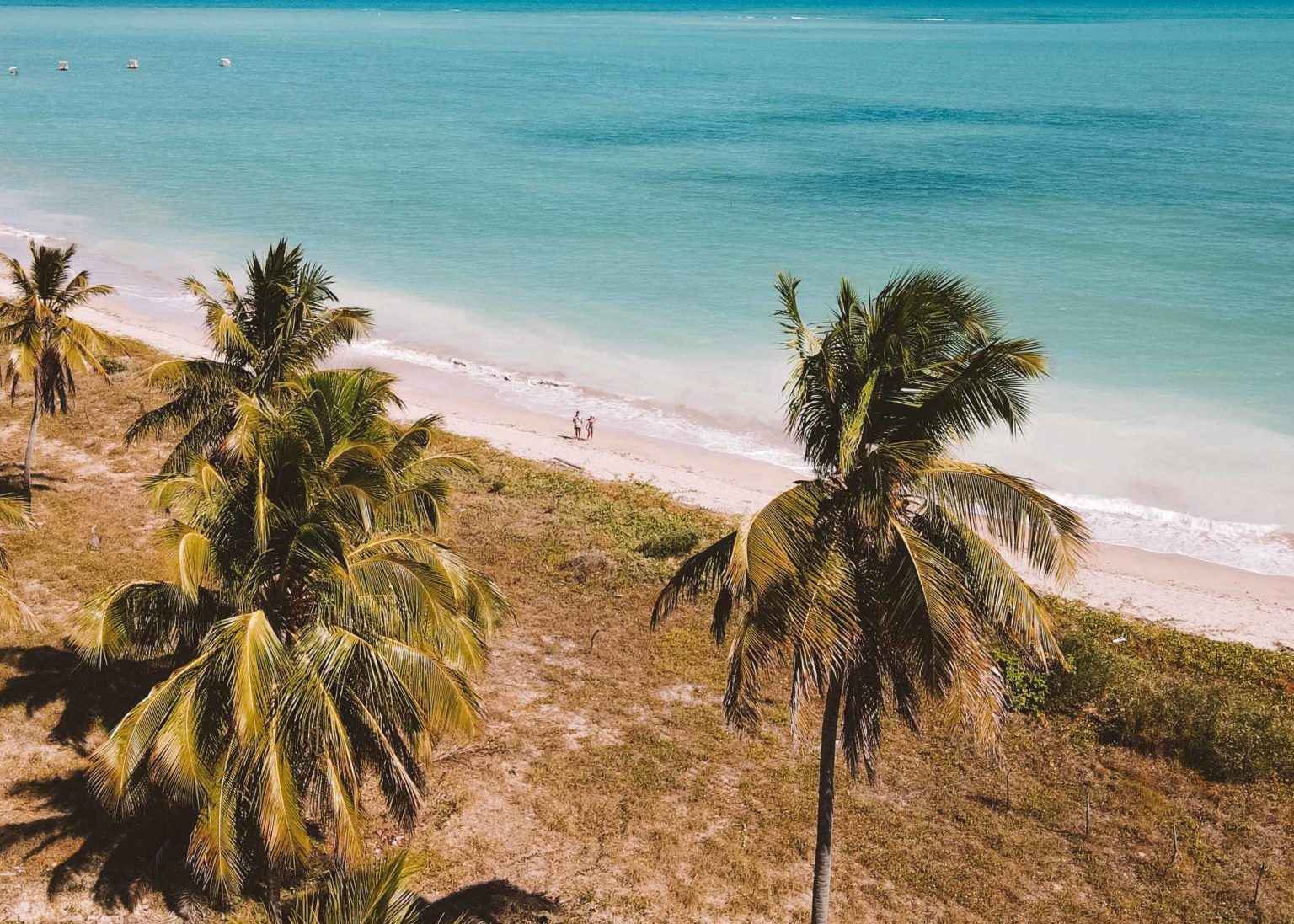 O que fazer na Praia do Patacho, em Alagoas: melhores passeios e dicas