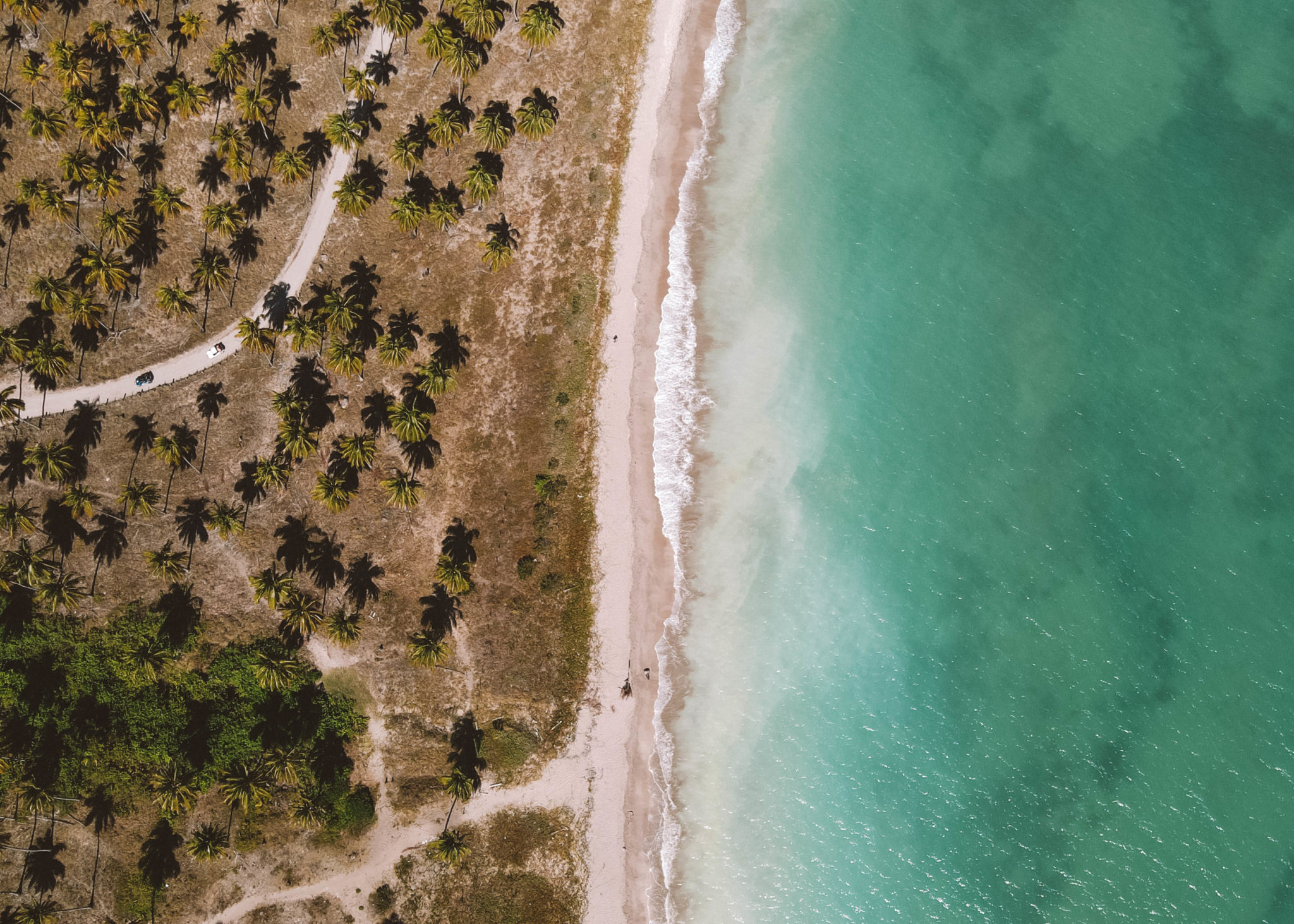 O que fazer na Praia do Patacho, em Alagoas: melhores passeios e dicas