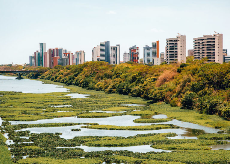 O que fazer no Piauí: melhores passeios, restaurantes e pousadas