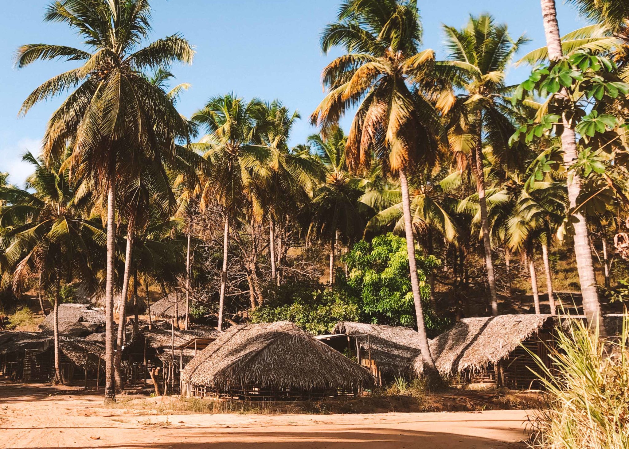 Tudo sobre a Praia do Gunga em Alagoas: as melhores dicas