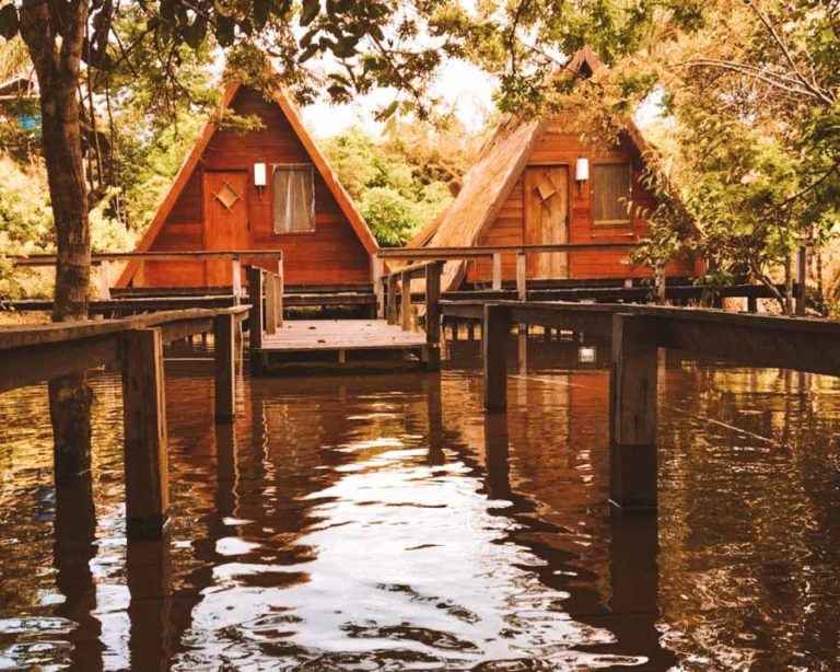 O que fazer em Manaus: 20 pontos turísticos imperdíveis