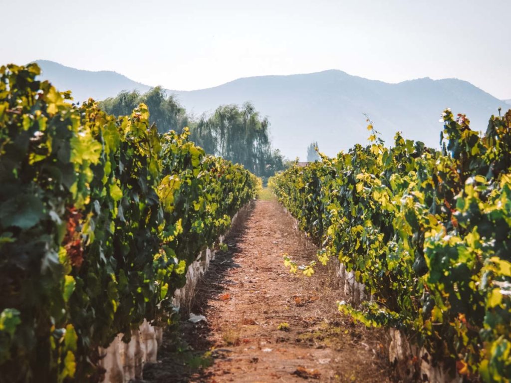 Roteiro Santiago: o melhor do Chile em 3, 5 ou 7 dias de viagem