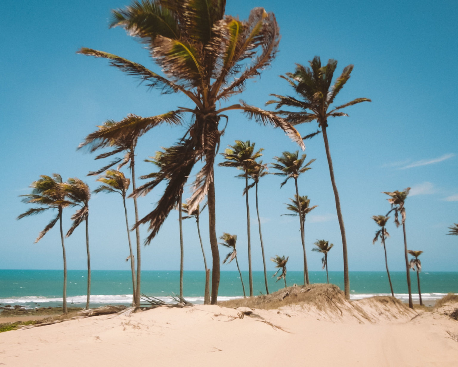Melhores praias do Ceará: as 20 mais lindas