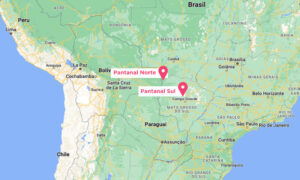 Turismo no Pantanal: descubra como visitar o Pantanal