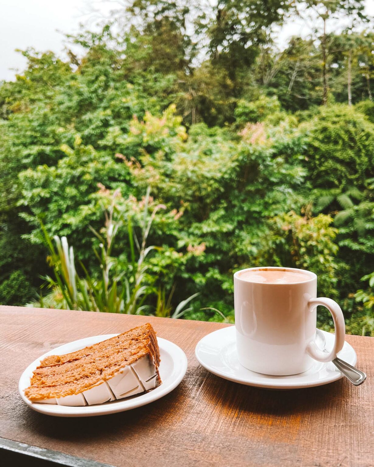 O que fazer em La Fortuna Costa Rica: 10 passeios imperdíveis