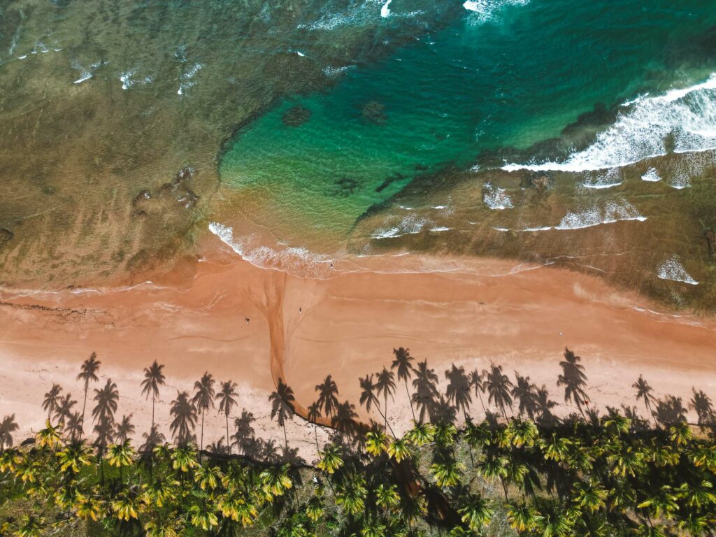 O que fazer em Barra Grande Bahia: os 16 melhores passeios