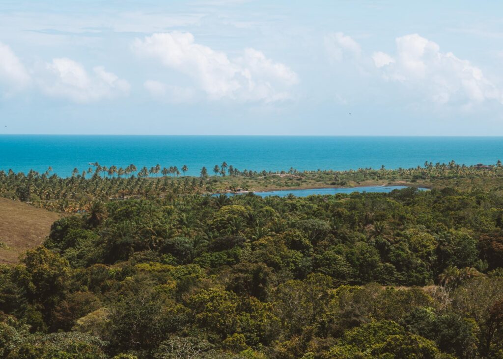 O que fazer em Barra Grande Bahia: os 16 melhores passeios