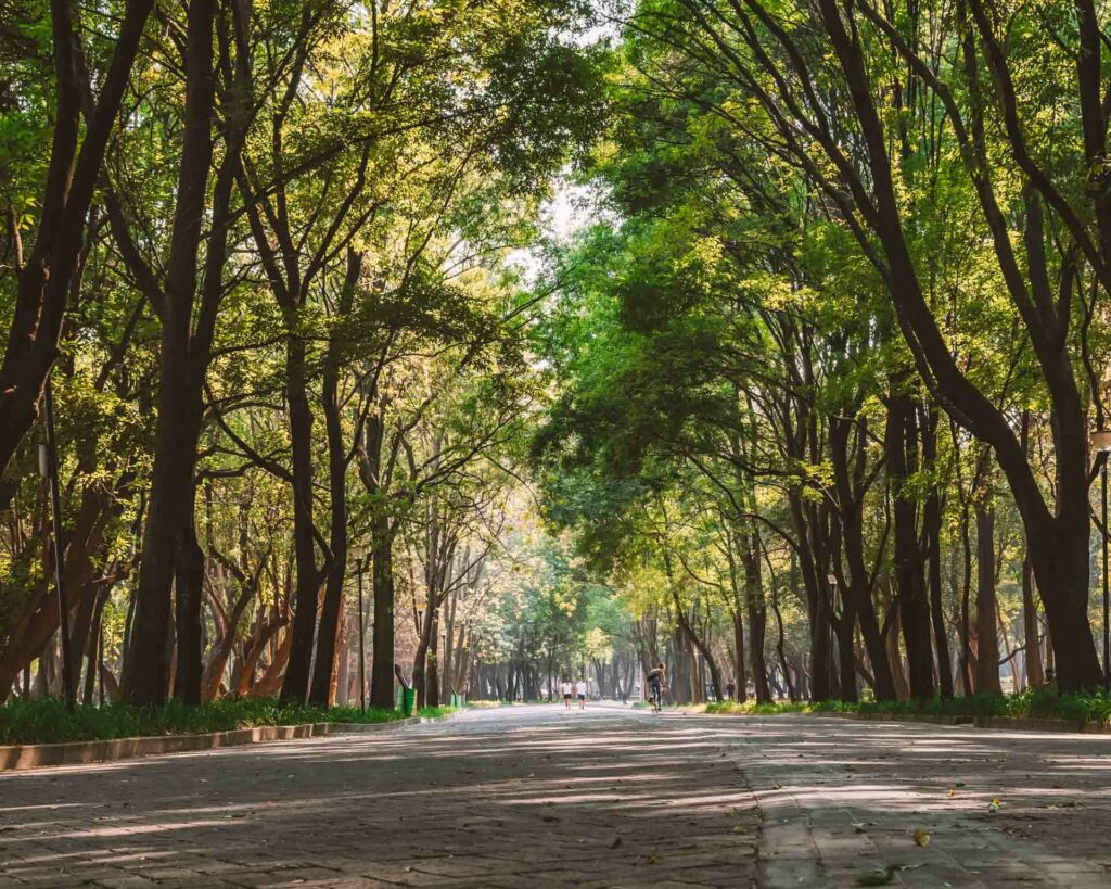 O que fazer na Cidade do México: 20 pontos turísticos e passeios