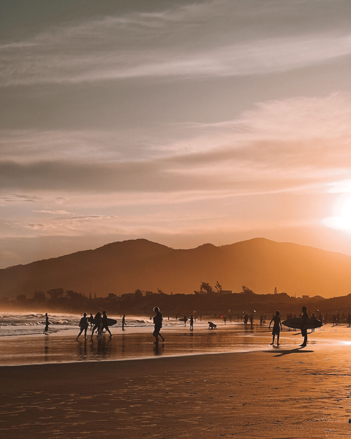 Praia do Campeche: o guia do paraíso em Florianópolis