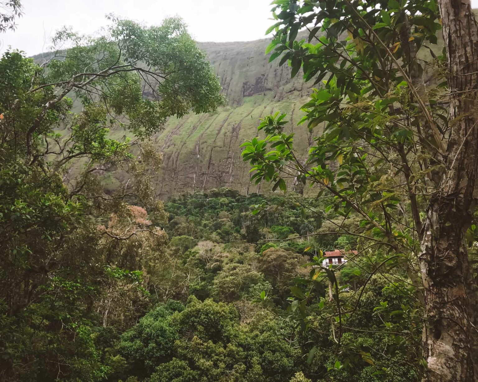Vale das Videiras RJ: melhores trilhas, cachoeiras pousadas