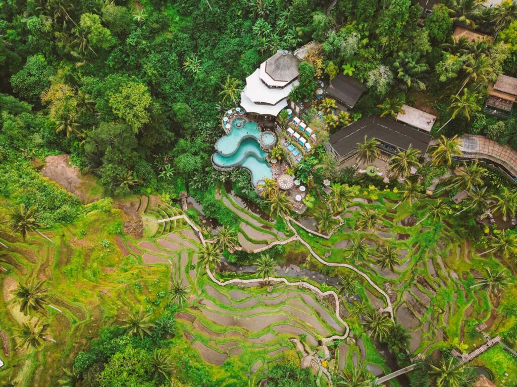 Ubud, Bali: guia completo para viagem inesquecível na Indonésia