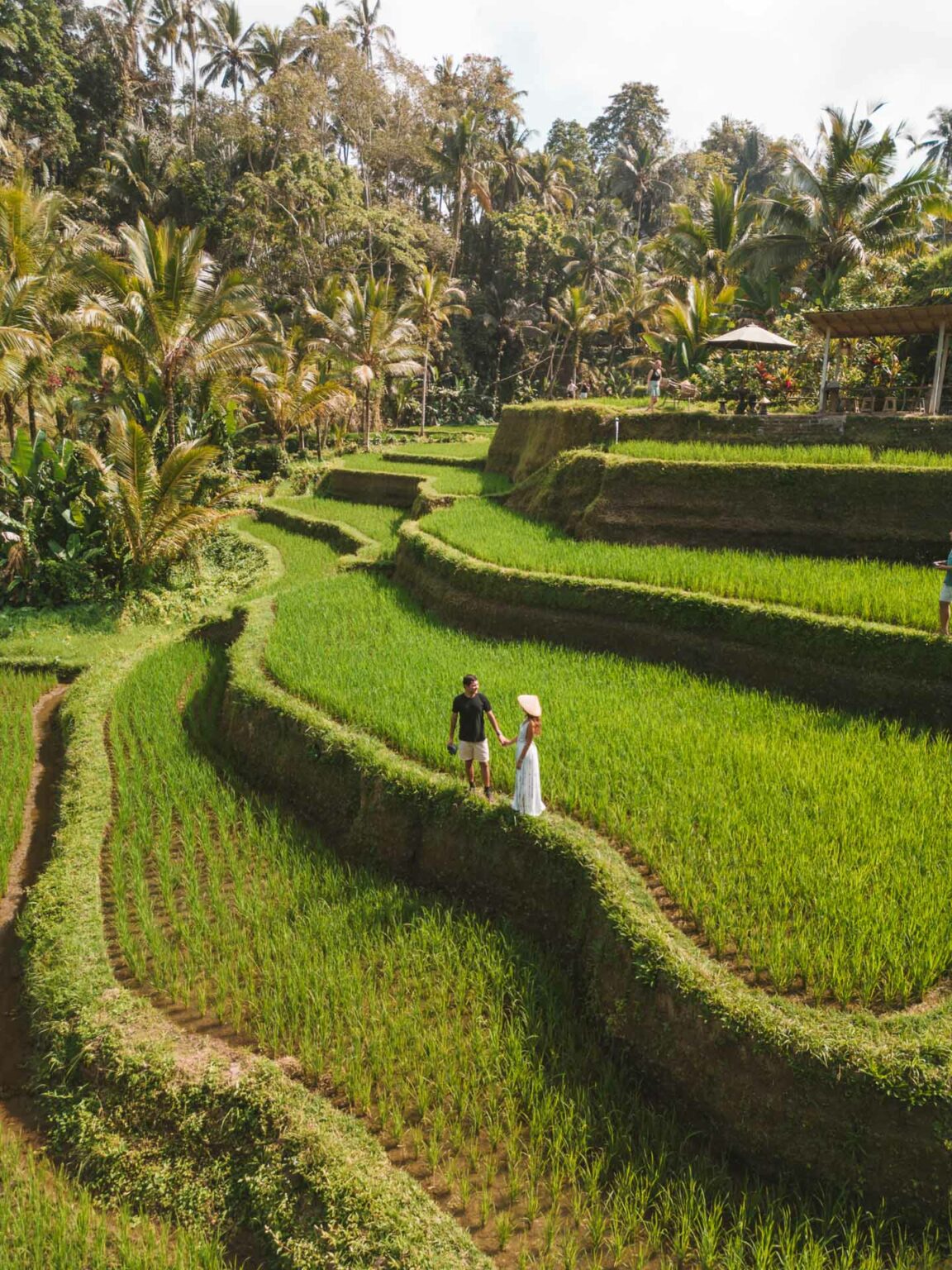 Ubud, Bali: guia completo para viagem inesquecível na Indonésia