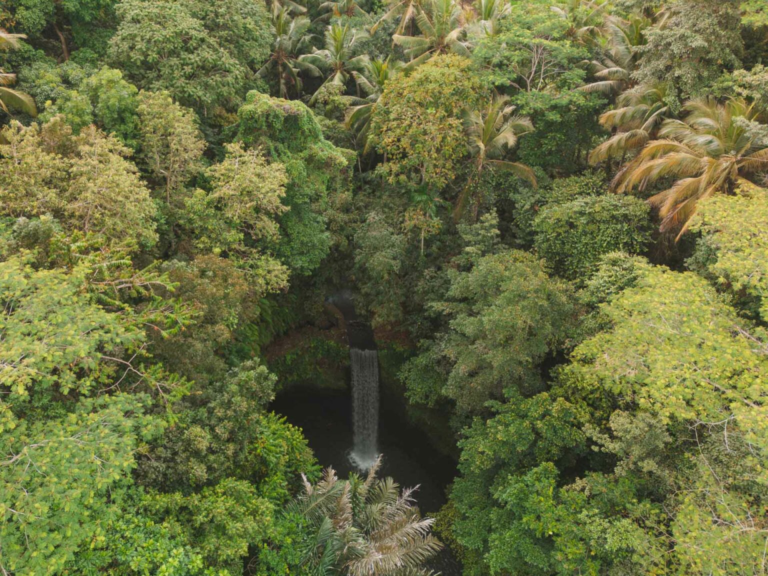 Onde ficar em Ubud Bali: no centro ou em meio à natureza?