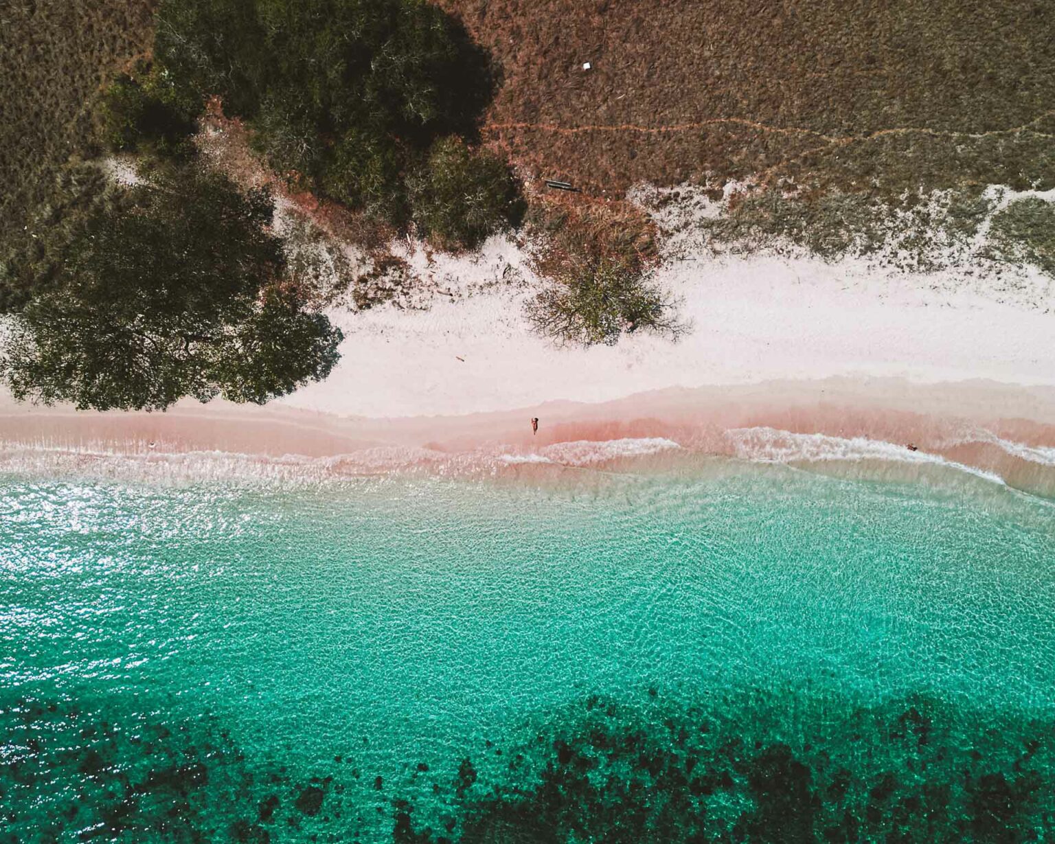 Ilha de Komodo: como visitar esse destino incrível na Indonésia
