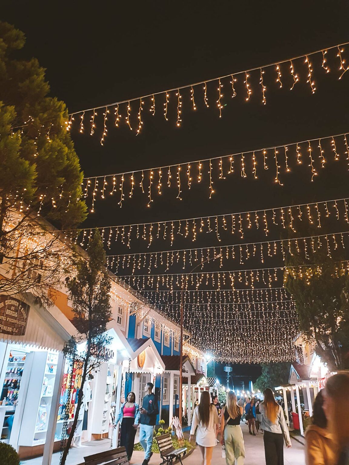 O que fazer em Penedo RJ: 14 passeios na cidade e arredores