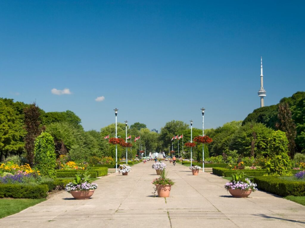 O que fazer em Toronto: 20 pontos turísticos para o seu roteiro