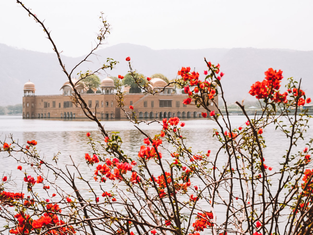 O que fazer em Jaipur, Índia: 16 passeios pela Cidade Cor de Rosa